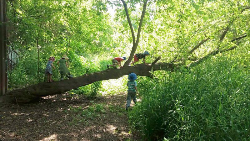 Locations – Tiny Green Trees